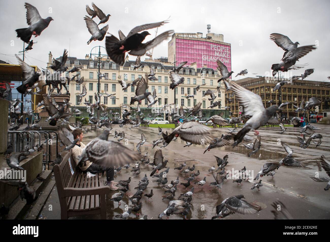 A man feeds the pigeons in George Square in Glasgow city centre Stock ...