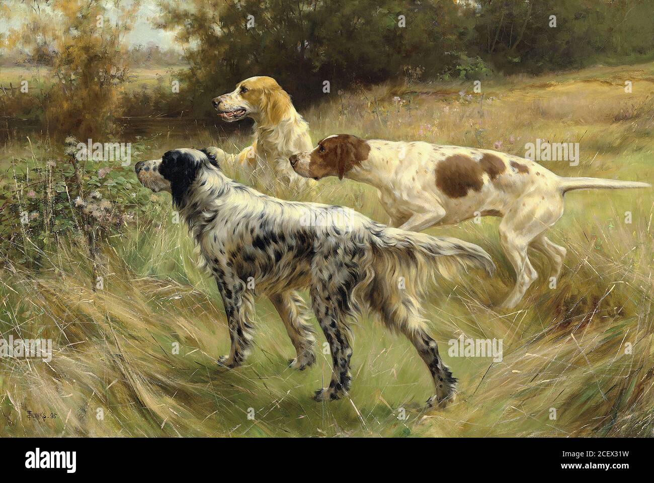 A pointer hi-res stock photography and images - Alamy