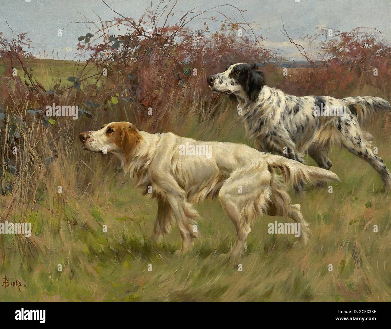 English setters hi-res stock photography and images - Alamy
