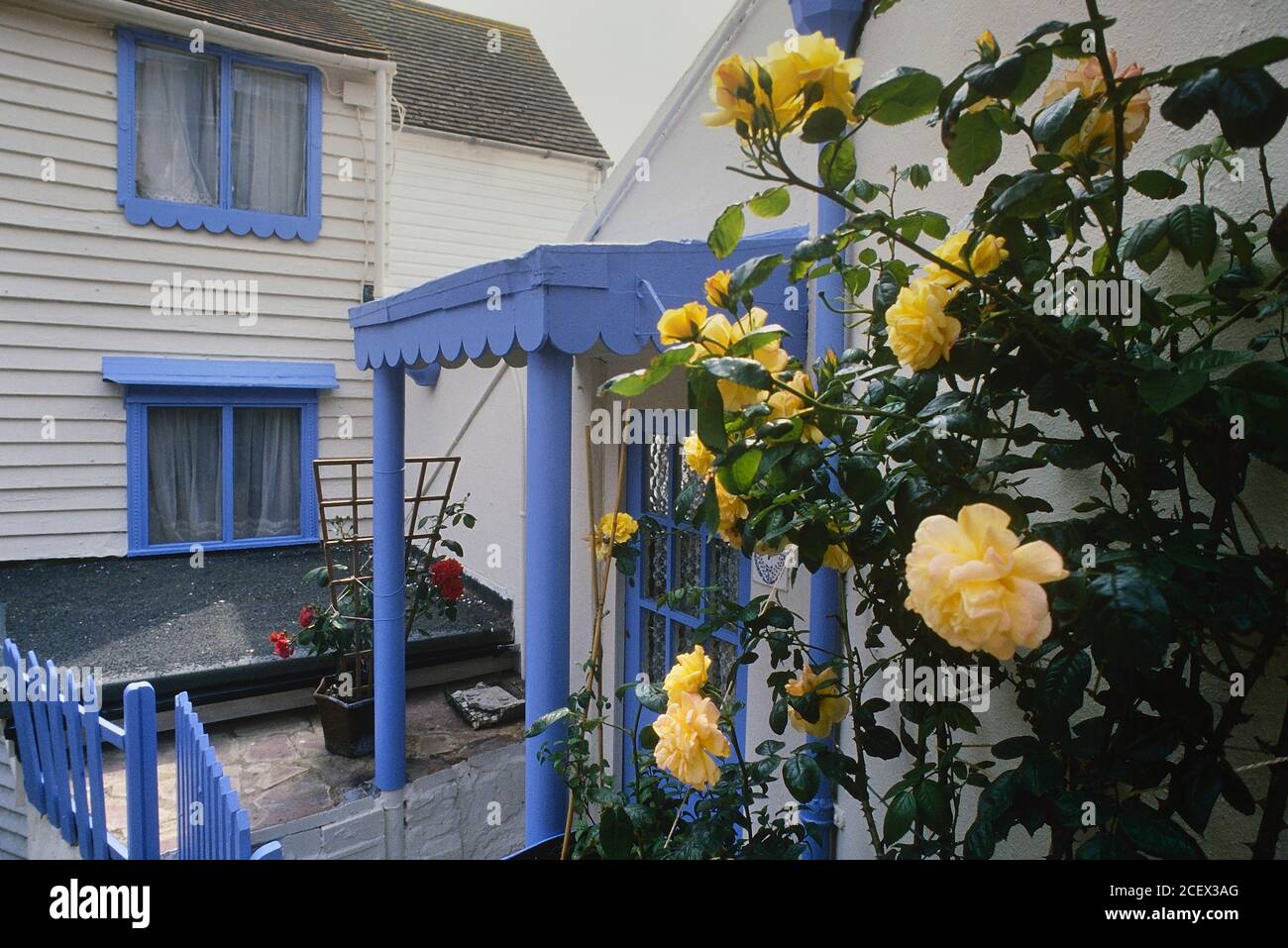 Tamarisk steps hi-res stock photography and images - Alamy