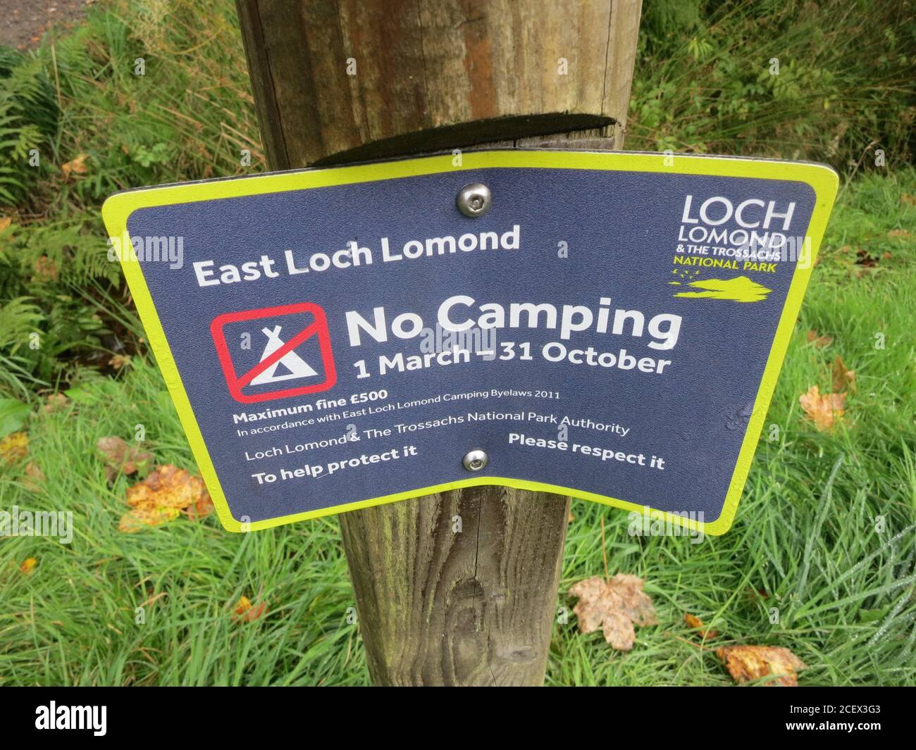 No camping sign Stock Photo - Alamy
