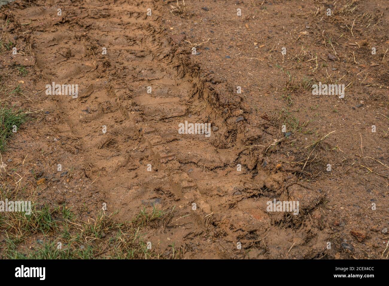 Small bulldozer tracks in the muddy clay soil leaving a imprint in the ...