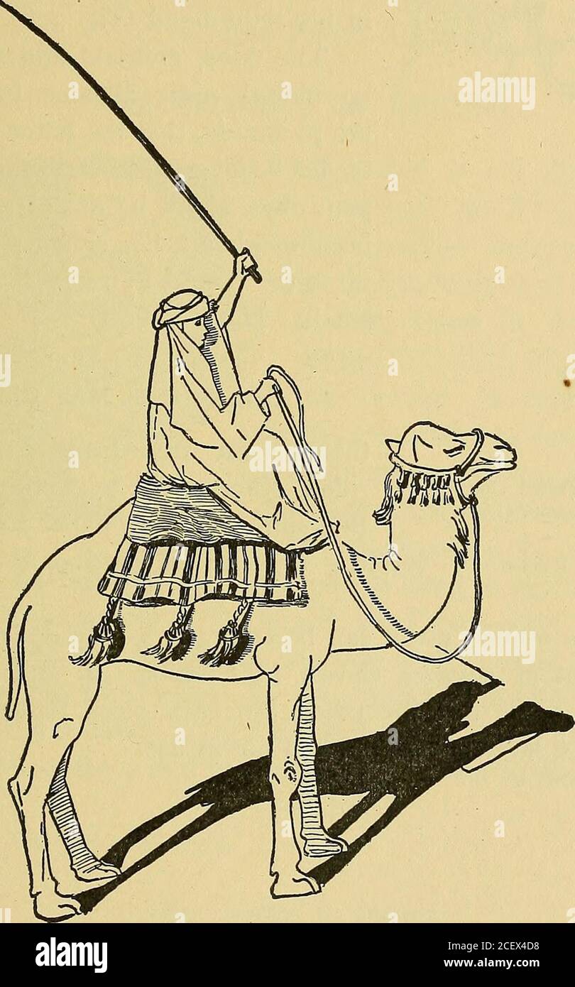 Fold along dotted lines hi-res stock photography and images - Alamy