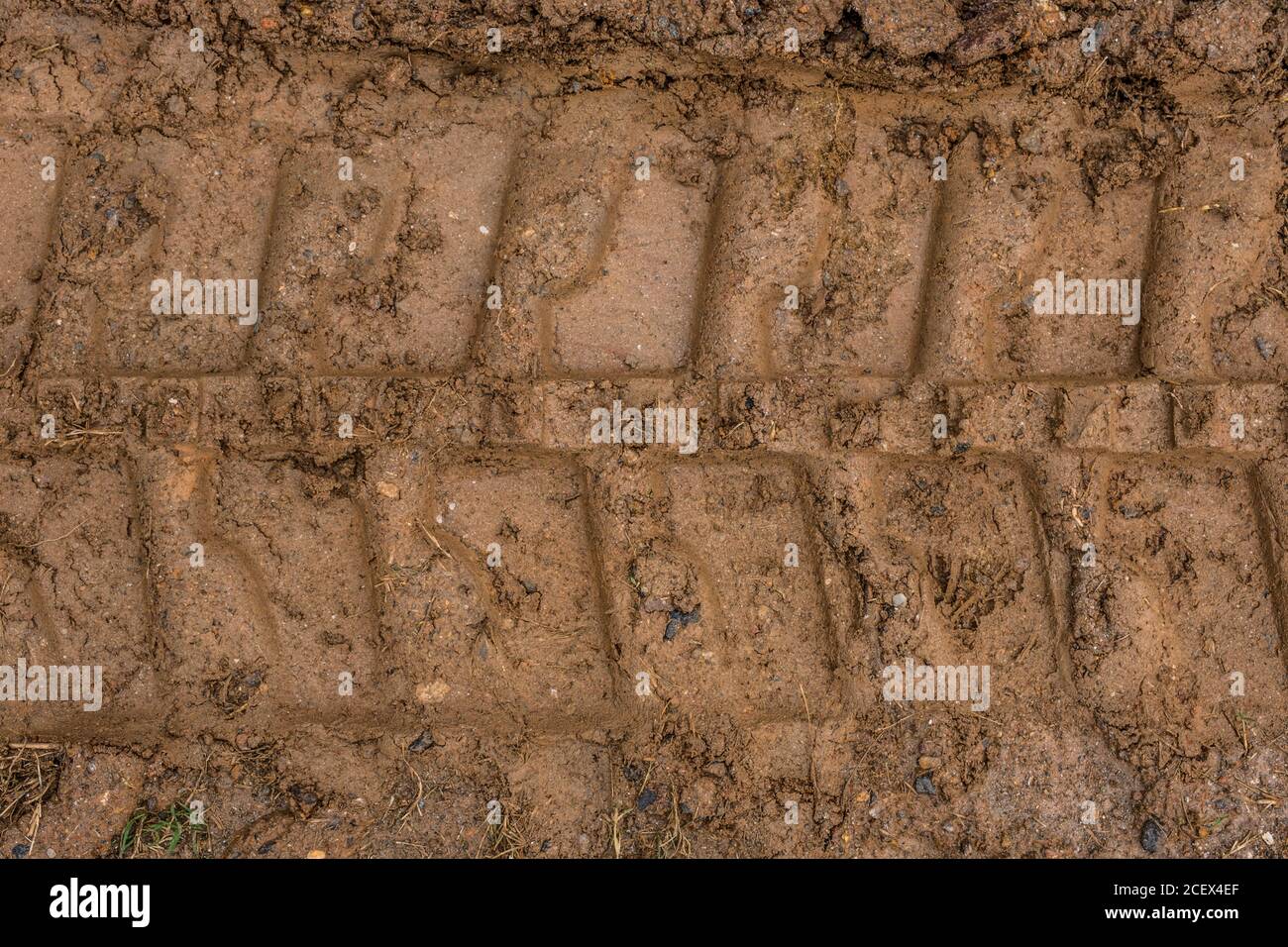 Looking down closeup on bulldozer tracks imprinted in the mud at a ...