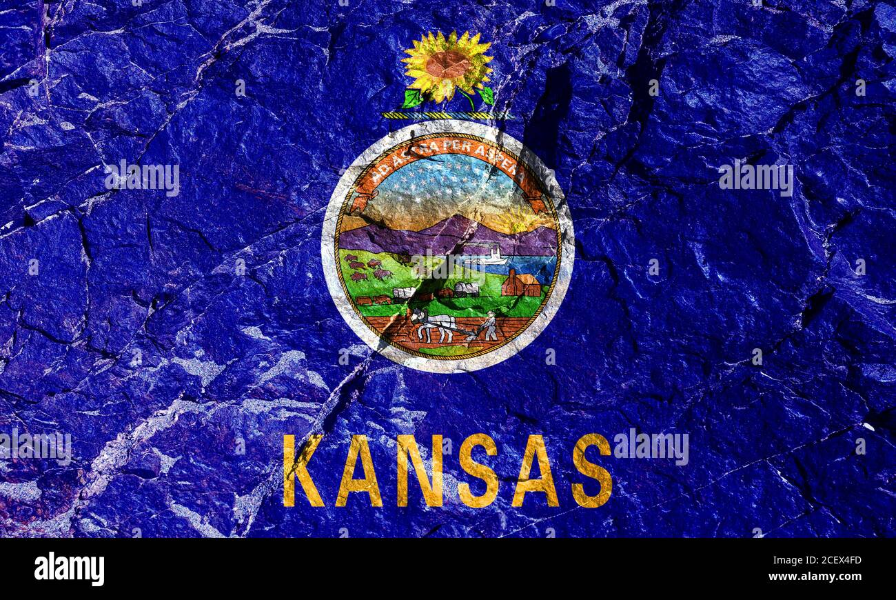 The USA state flag of Kansas with a sunflower flower on a blue ...