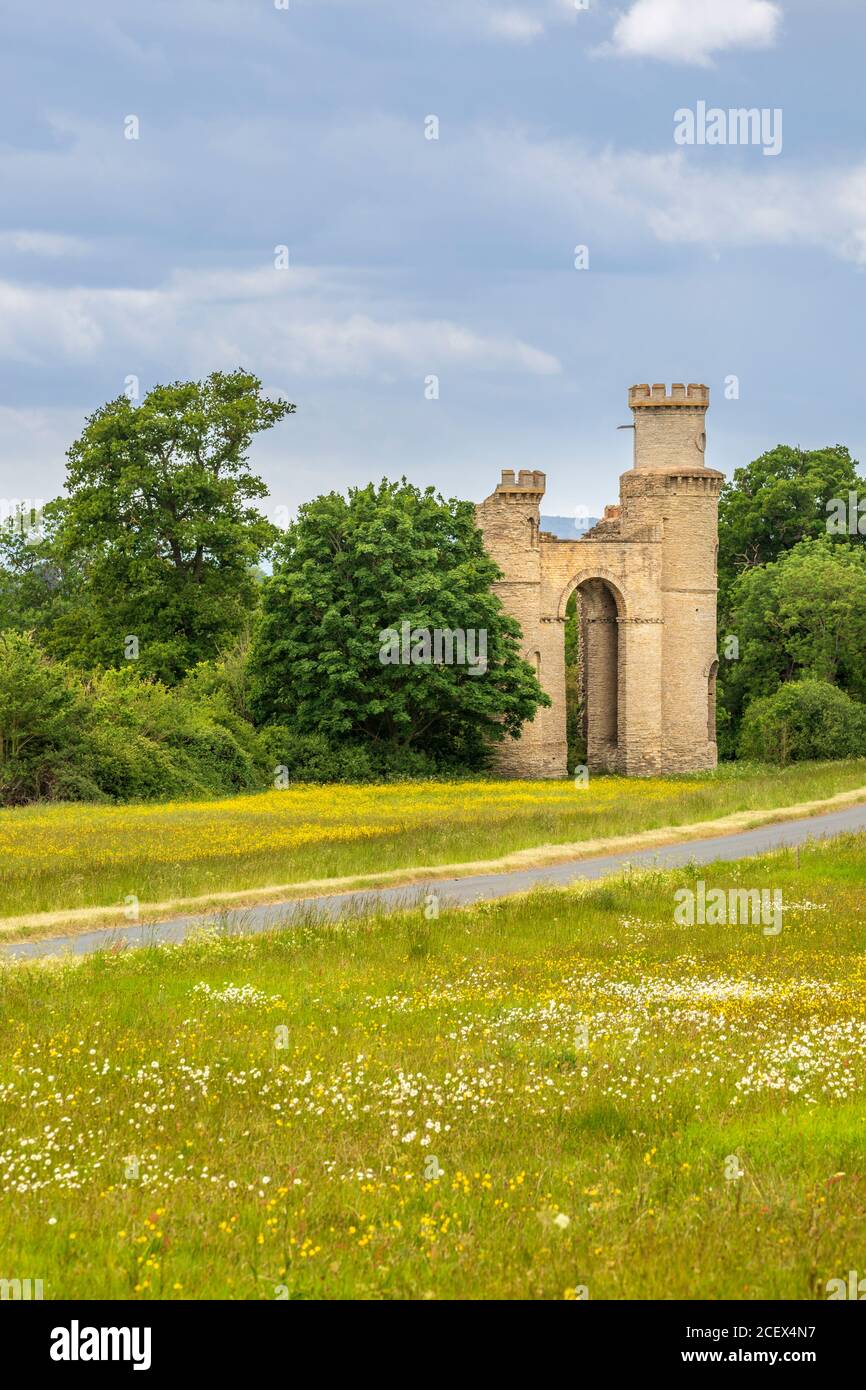 Common wild flowers hi-res stock photography and images - Alamy