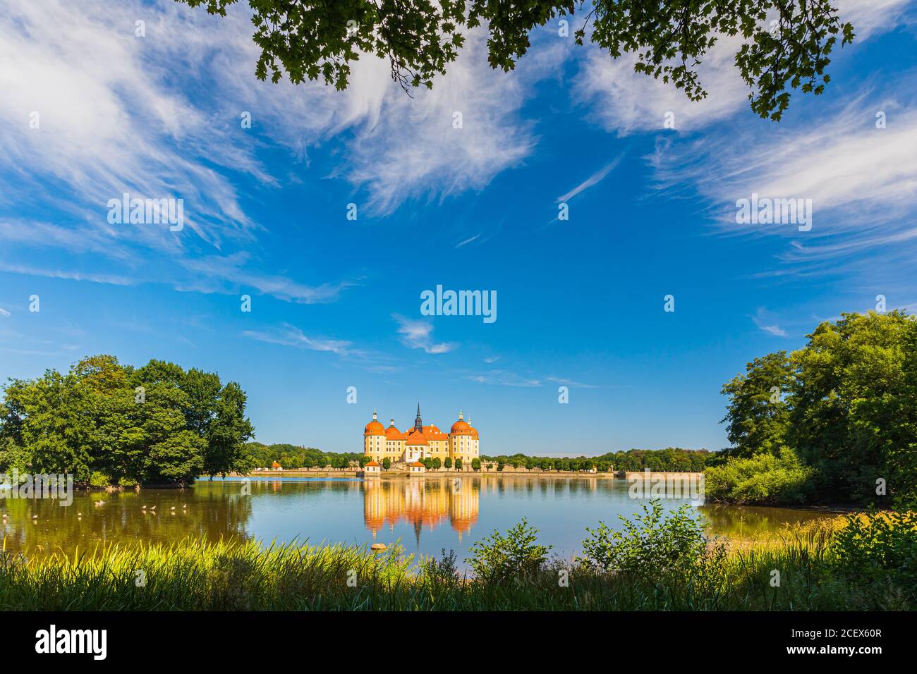 Moritzburg Castle (German: Schloss Moritzburg) or Moritzburg Palace is ...