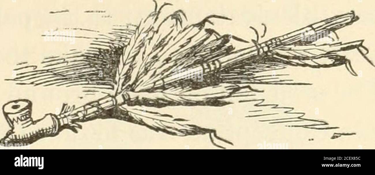 Indian reed pipe hi-res stock photography and images - Alamy