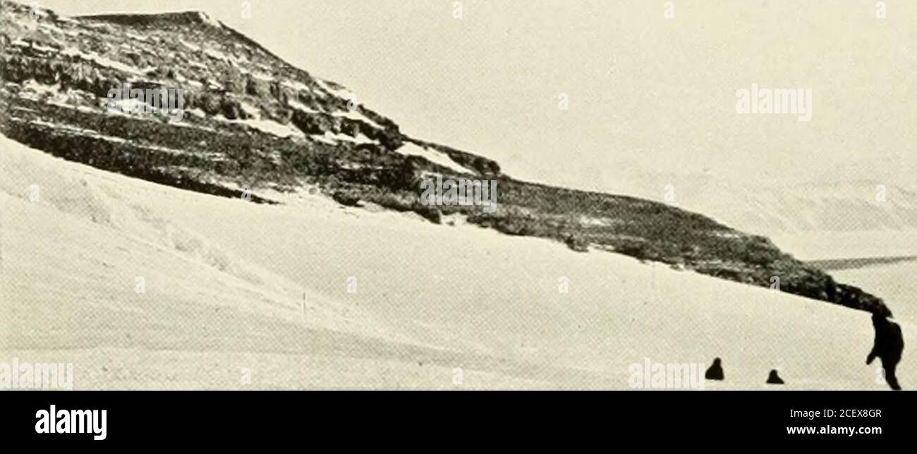 Beardmore glacier hi-res stock photography and images - Alamy