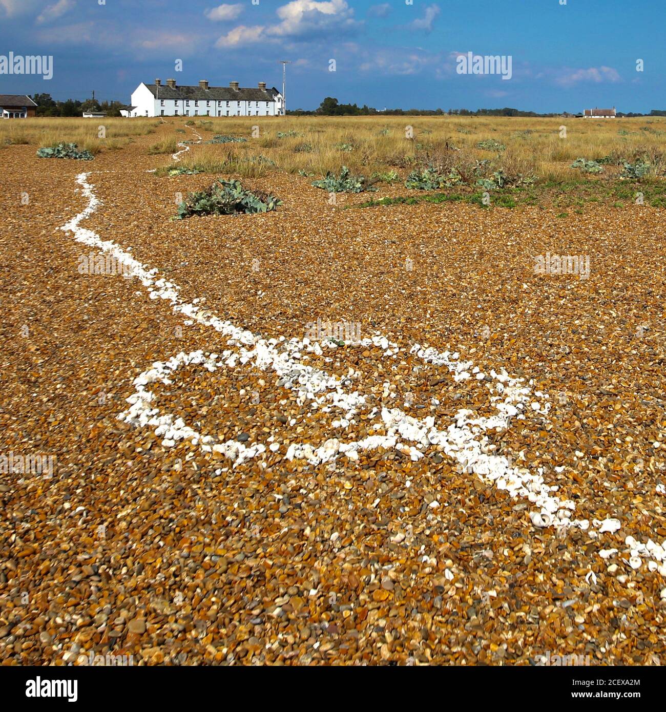 Shingle Street, Woodbridge, Suffolk, UK - 2 September 2020: Beautiful ...