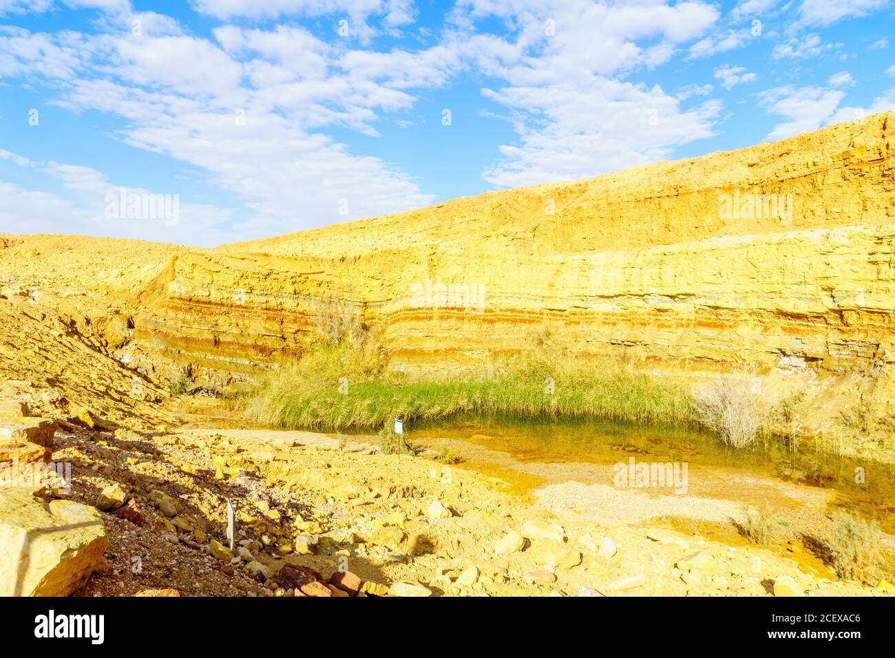 View of a water hole and layered rock formation, along the Ramon Colors ...