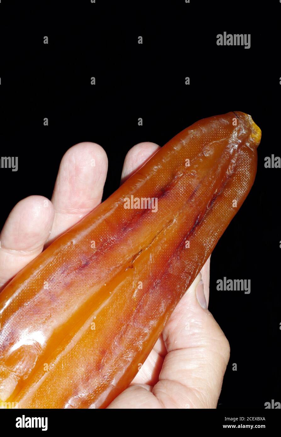 Bottarga (fish's eggs) typical food of Sardinia, Italy Stock Photo - Alamy