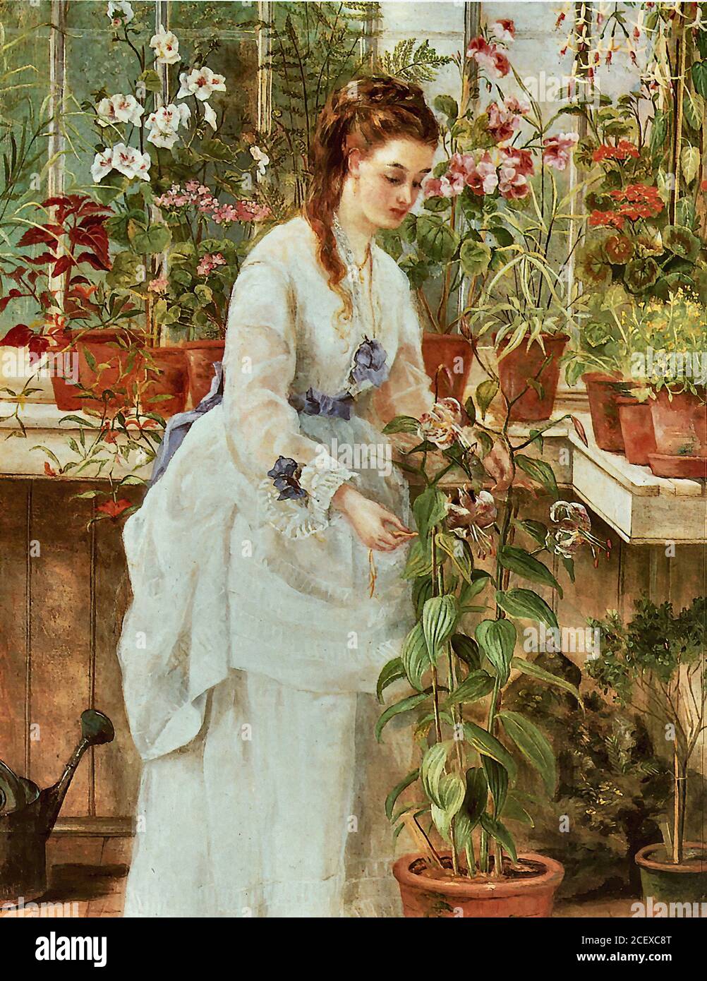 Bowkett Jane Maria - a Young Lady in a Conservatory - British School ...