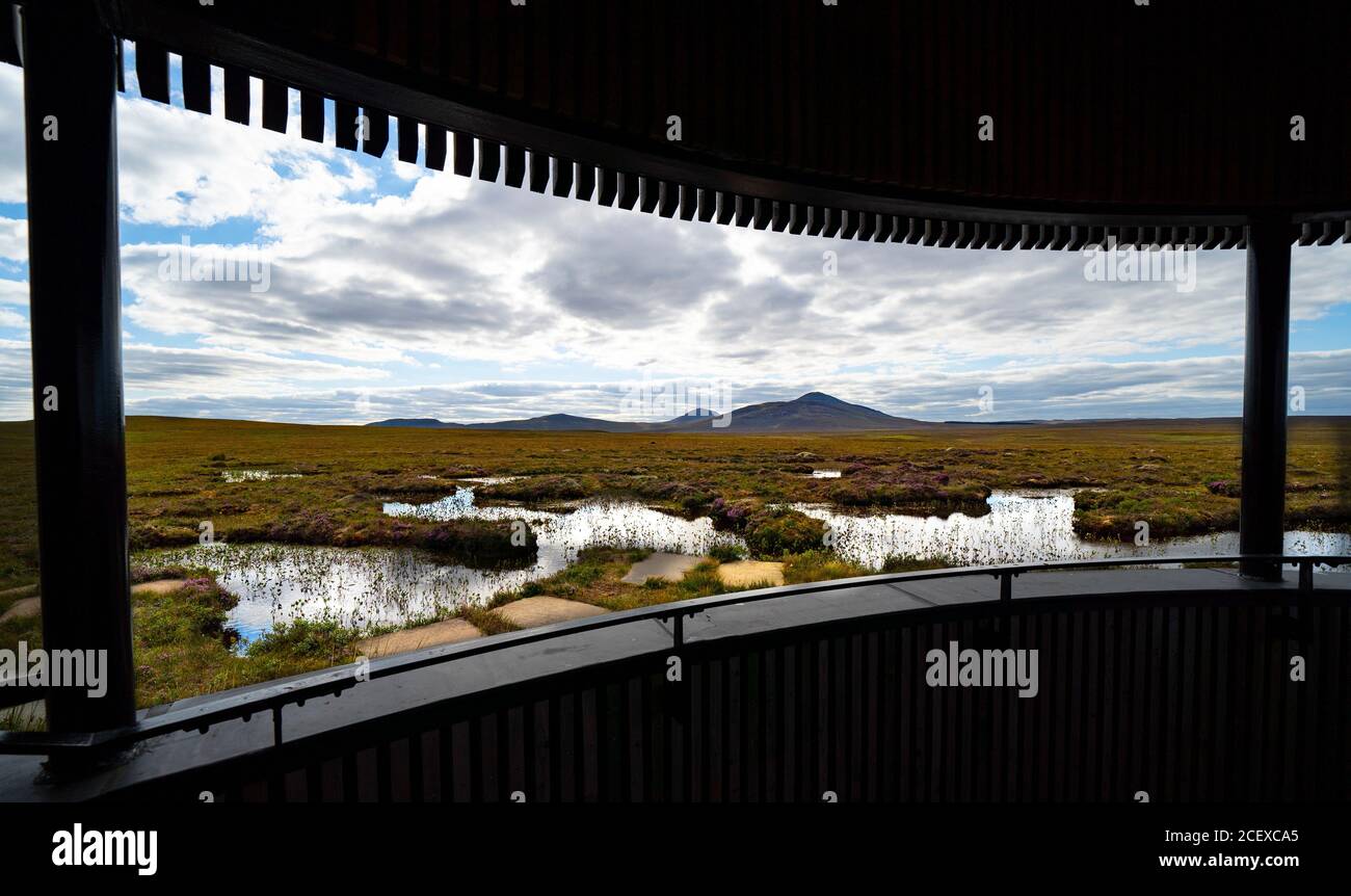 View from visitor viewing tower of landscape of the Flow Country at ...