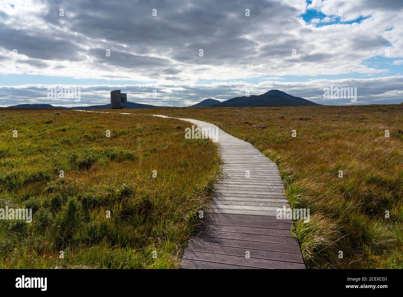 Rspb forsinard flows scotland hi-res stock photography and images - Alamy