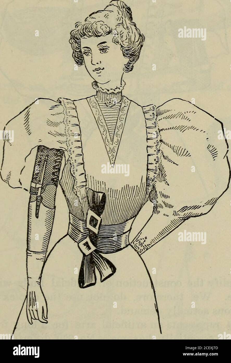 Short front limbs hi-res stock photography and images - Alamy