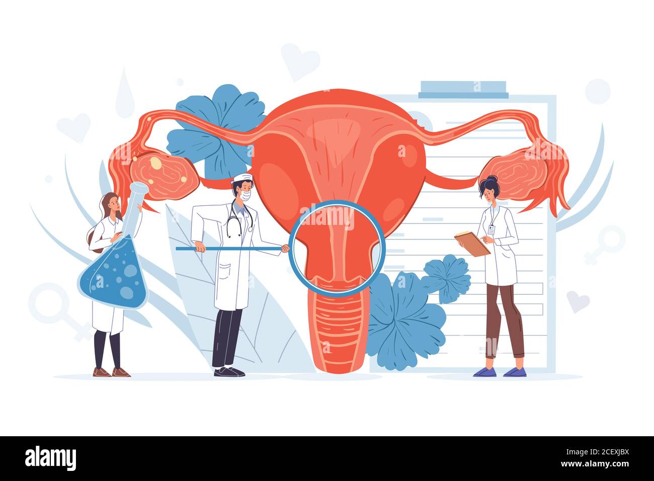 Gynecologist doctor team make uterus examination Stock Vector Image ...