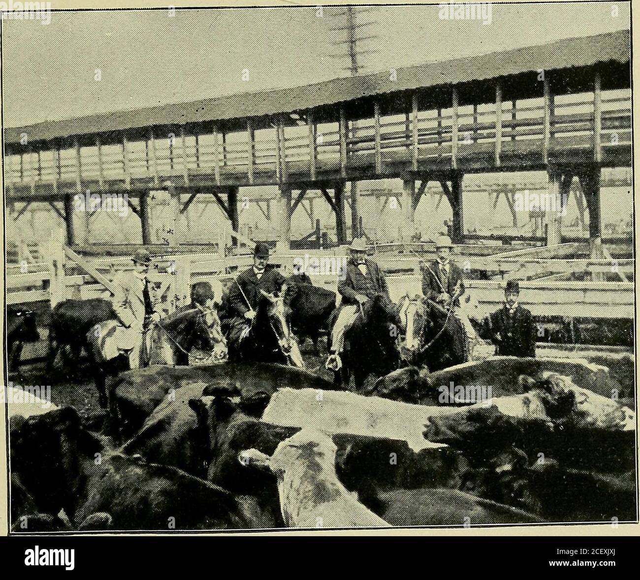 . Illustrated history of the Union Stockyards; sketch-book of familiar ...