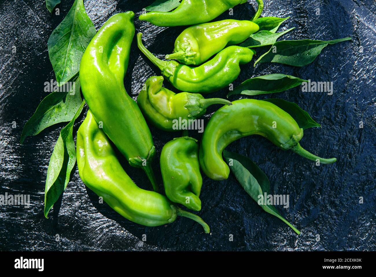 Top view of freshly harvested green peppers and leaves arranged on ...
