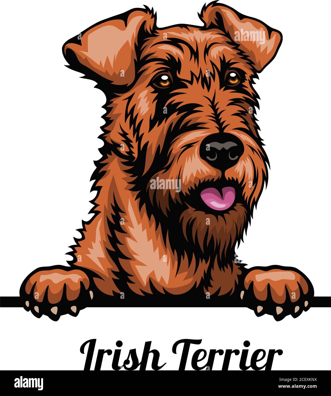 Irish Cartoon Cut Out Stock Images & Pictures - Alamy