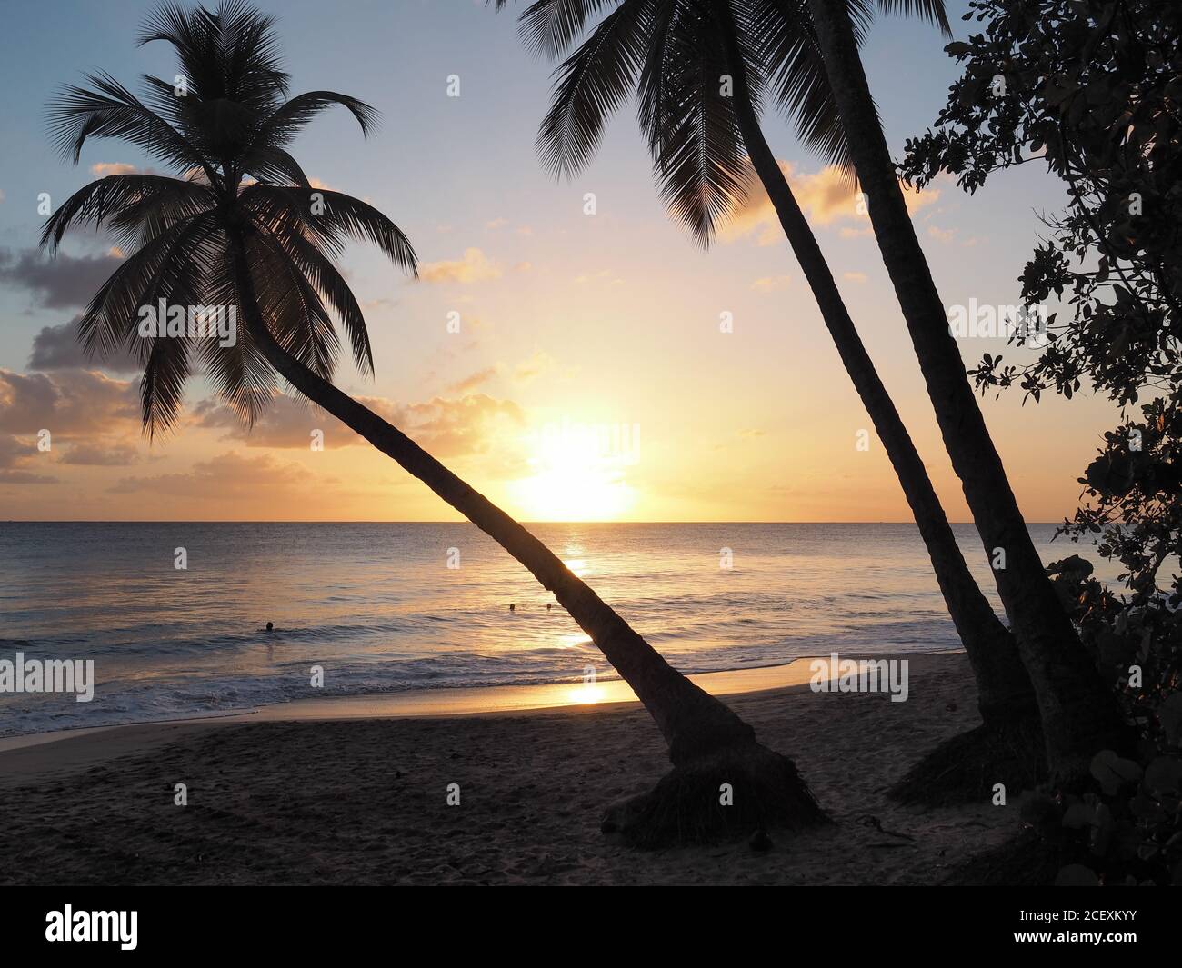 Sunset on one of the most popular beaches in Martinique les SALINES ...
