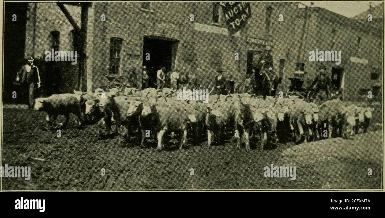 . Illustrated history of the Union Stockyards; sketch-book of familiar ...