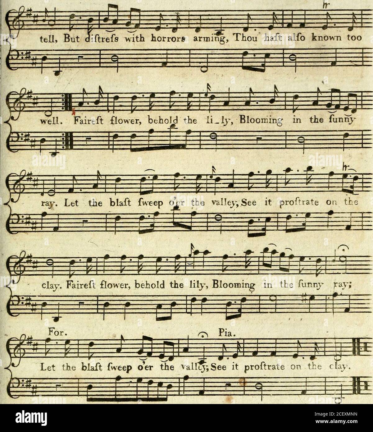 Catch chords hi-res stock photography and images - Alamy