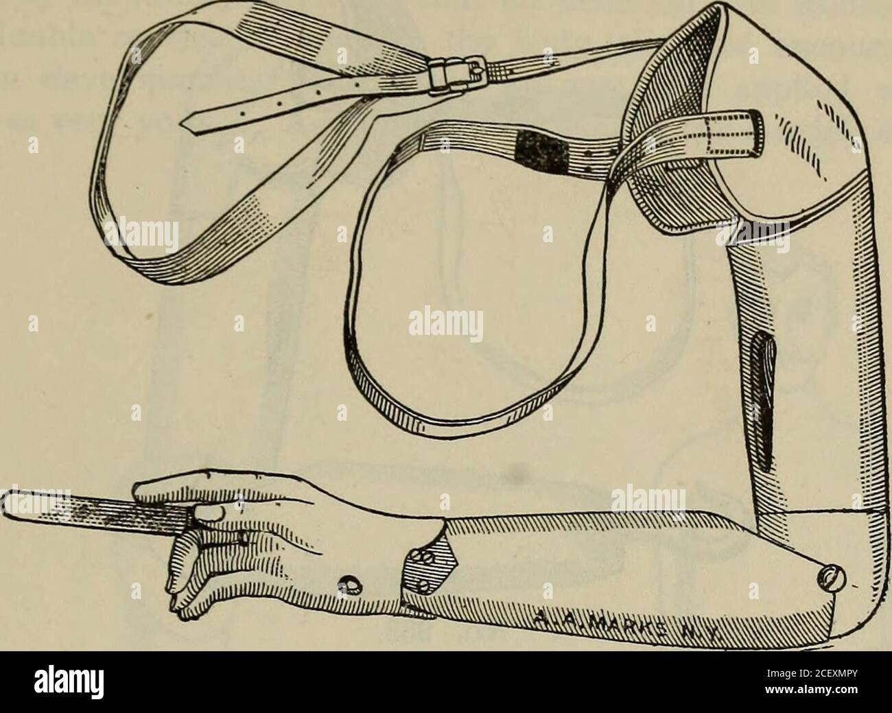 Elbow flexion and extension hi-res stock photography and images - Alamy