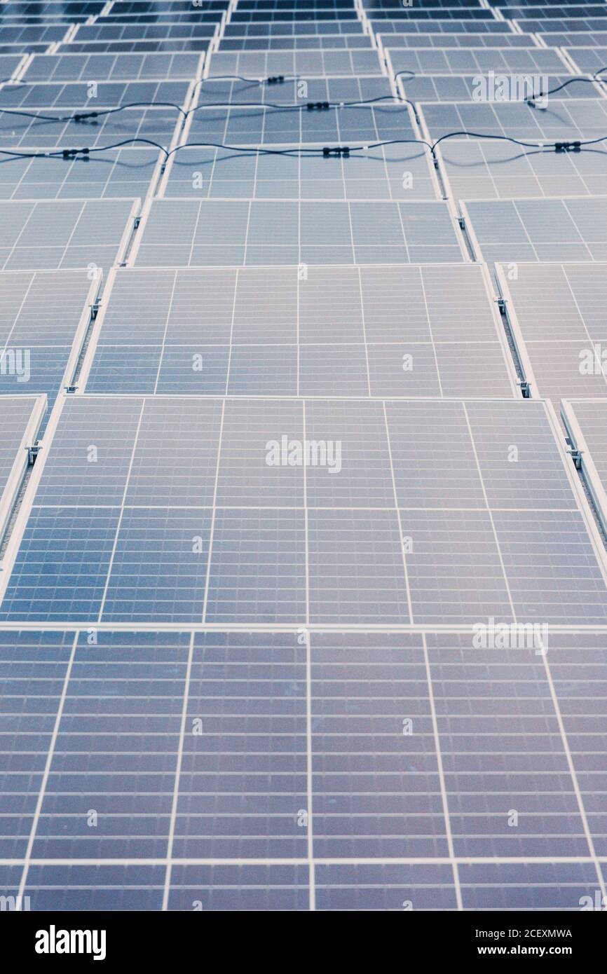 Contemporary solar batteries installed in rows in industrial area of ...