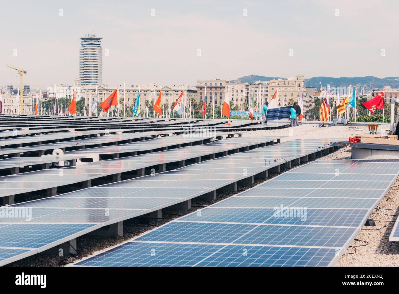 Rows of modern solar batteries installed in yard of contemporary plant ...