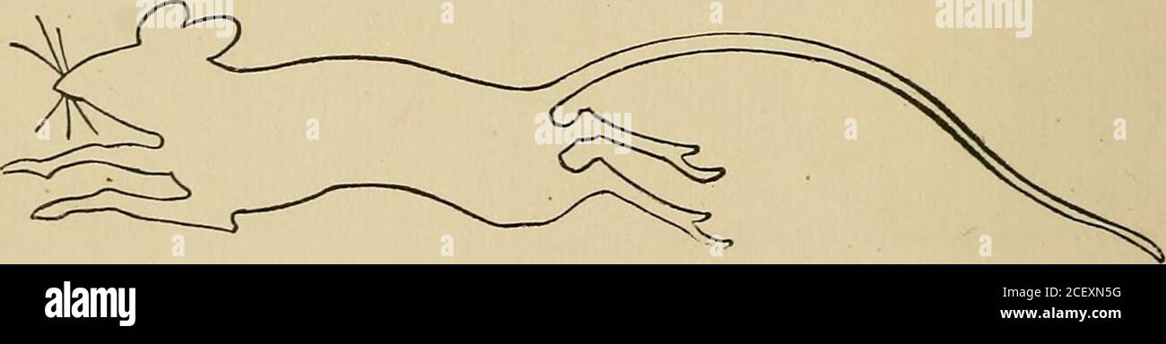 . Things worth doing and how to do them. Fig. 171.—One of the three ...