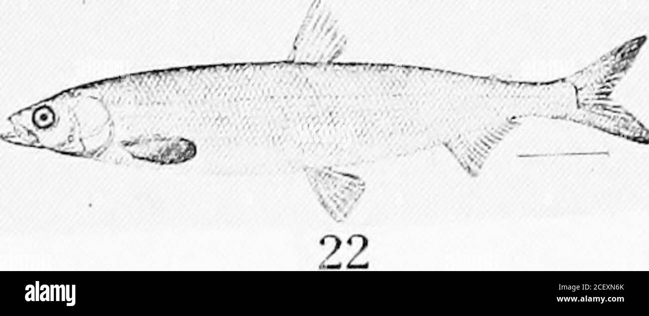 Annotated list hi-res stock photography and images - Alamy