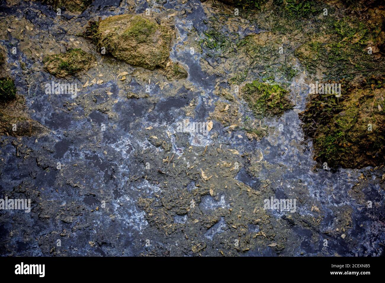 Pagham bird reserve hi-res stock photography and images - Alamy