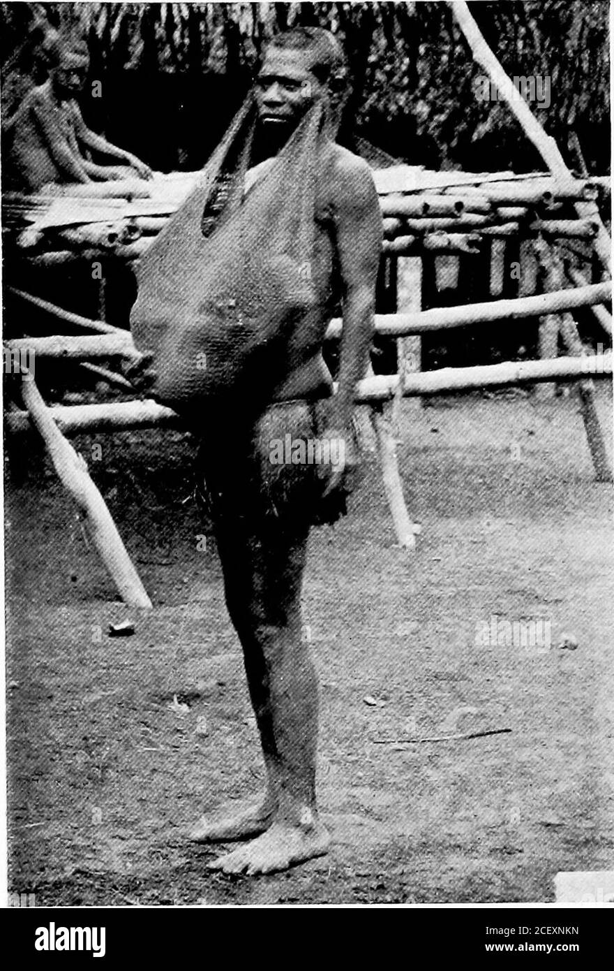 Small bore rifle hi-res stock photography and images - Alamy