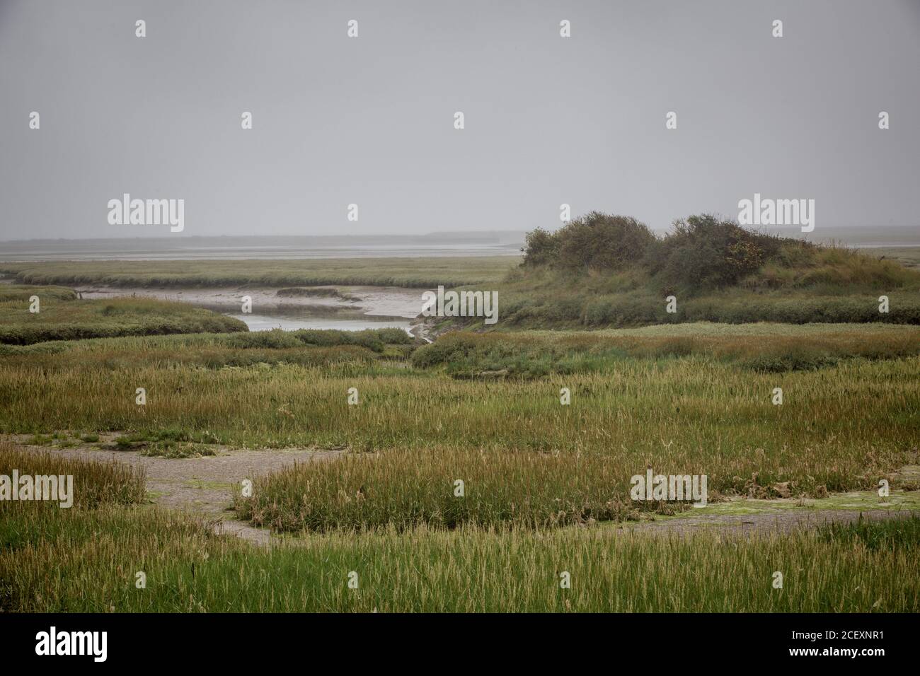 Pagham bird reserve hi-res stock photography and images - Alamy
