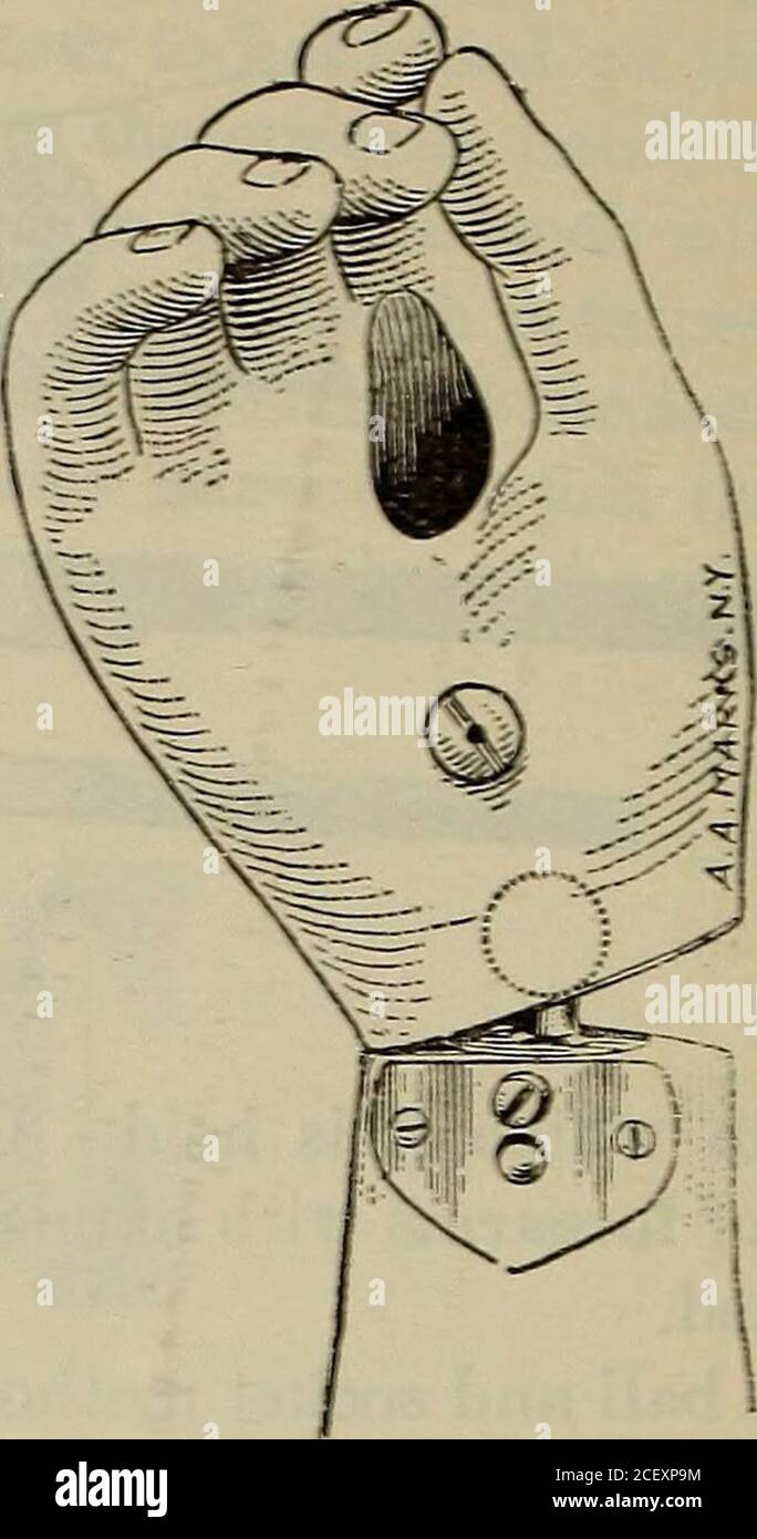 Ball socket feet hi-res stock photography and images - Alamy