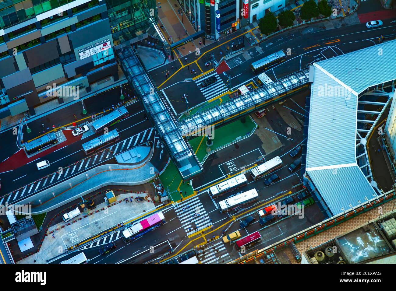 A crossing at Shibuya in Tokyo high angle long shot Stock Photo - Alamy
