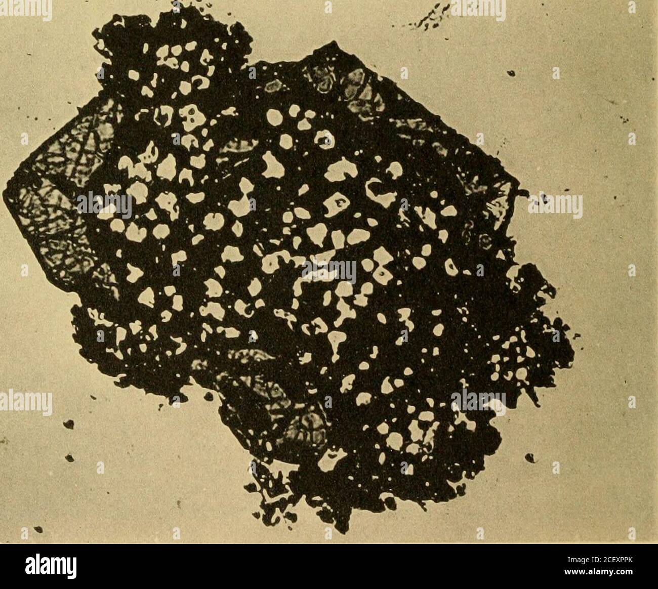 Crystallographic hi-res stock photography and images - Alamy