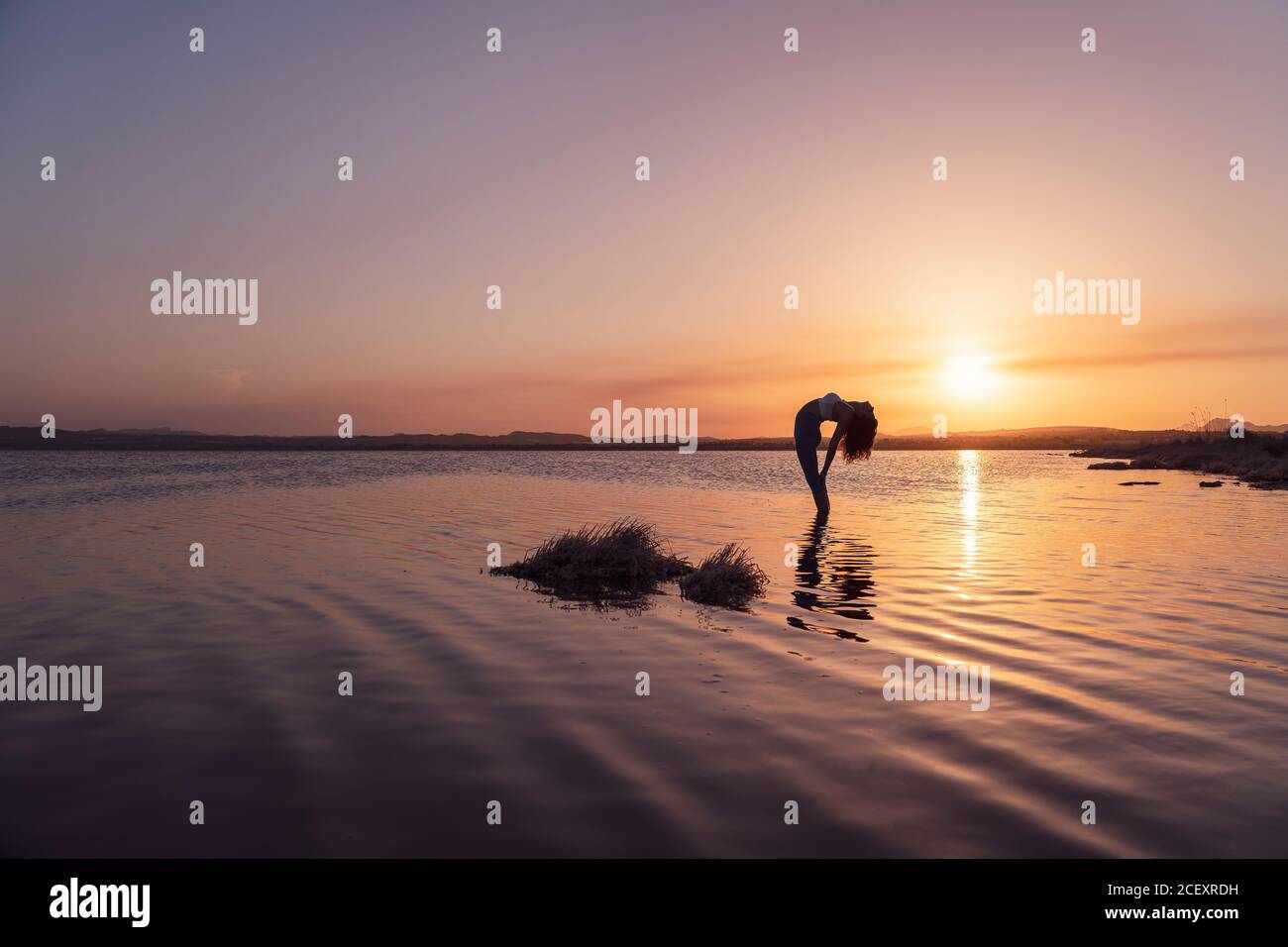 Full length side view of young flexible female in sportswear practicing ...