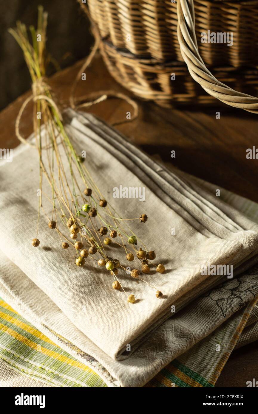 Bunch of dry flax plants with flaxseed capsules on linen textile Stock ...