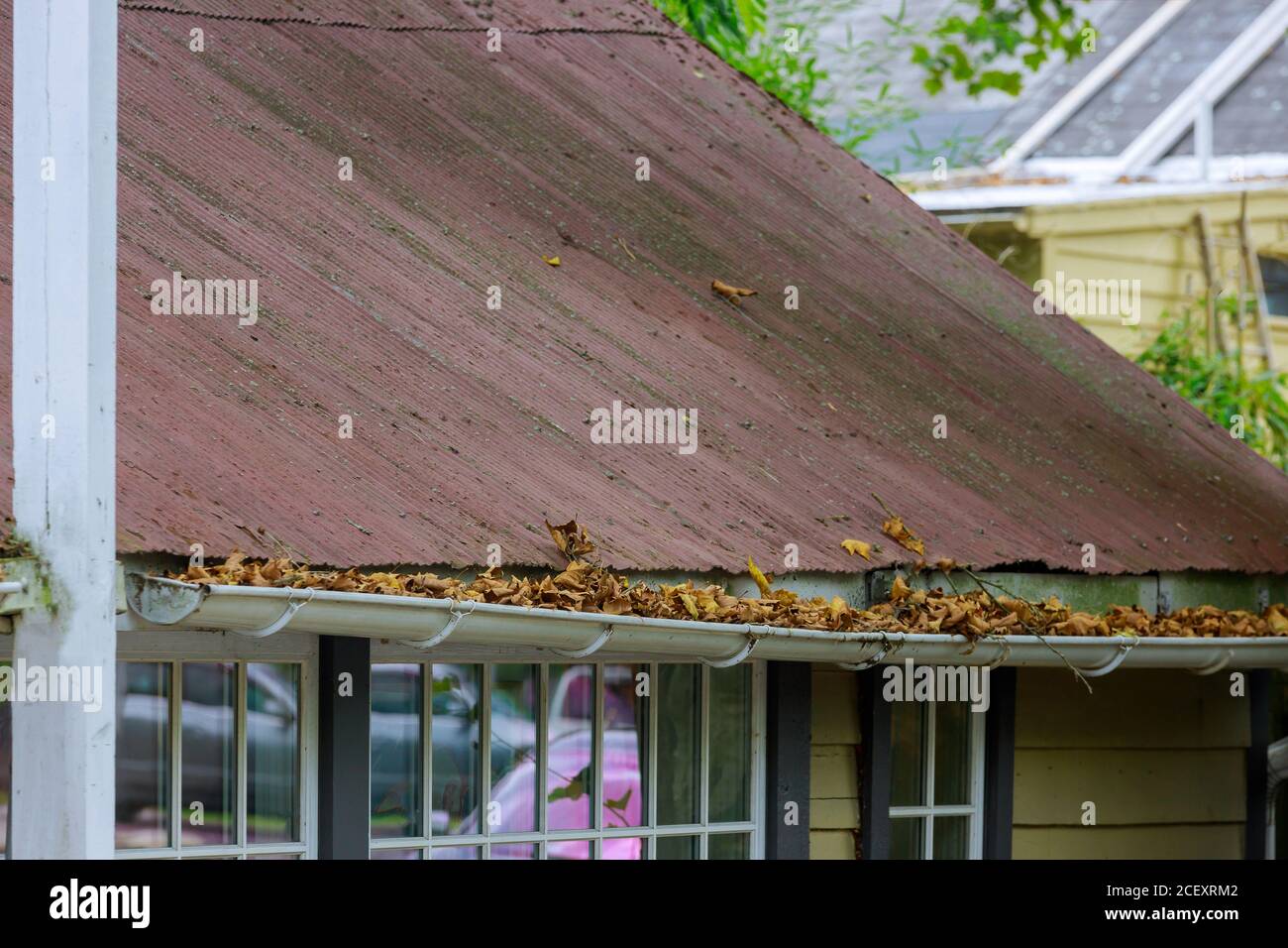Over gutter on a roof with autumn leaves stuck in the mesh Stock Photo ...