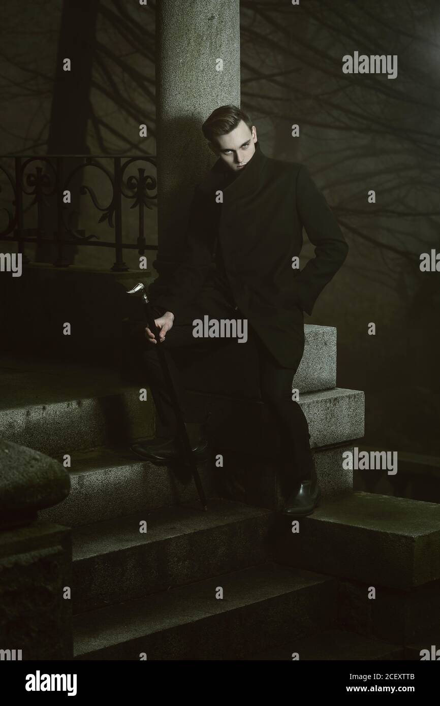 Elegant night hunter Stock Photo - Alamy