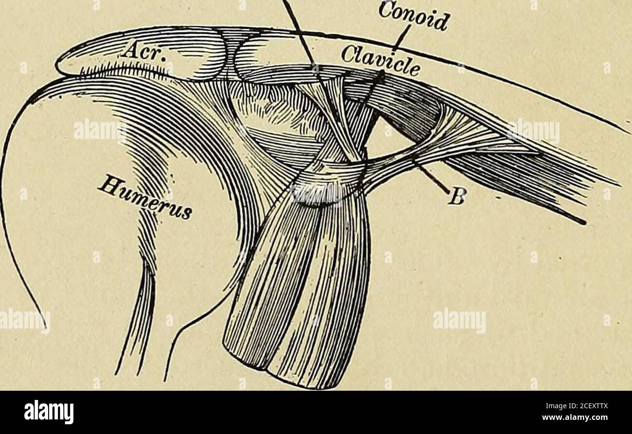 . A practical treatise on fractures and dislocations. , andsometimes ...