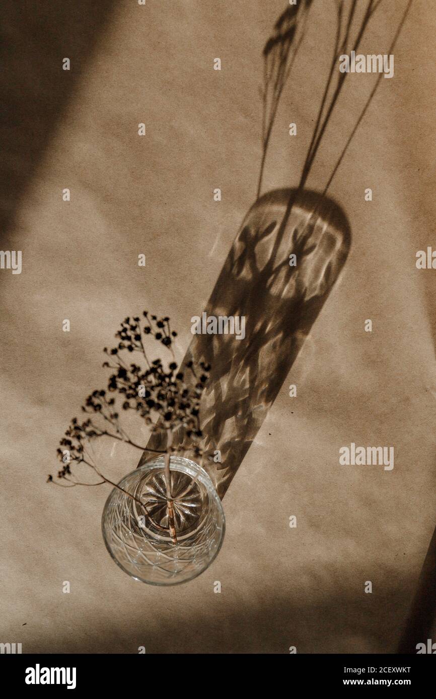 Creative terra hi-res stock photography and images - Alamy