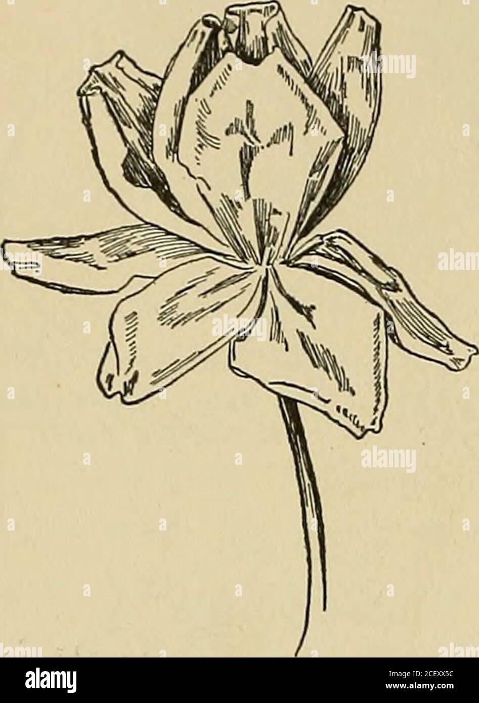 Slashes in paper hi-res stock photography and images - Alamy