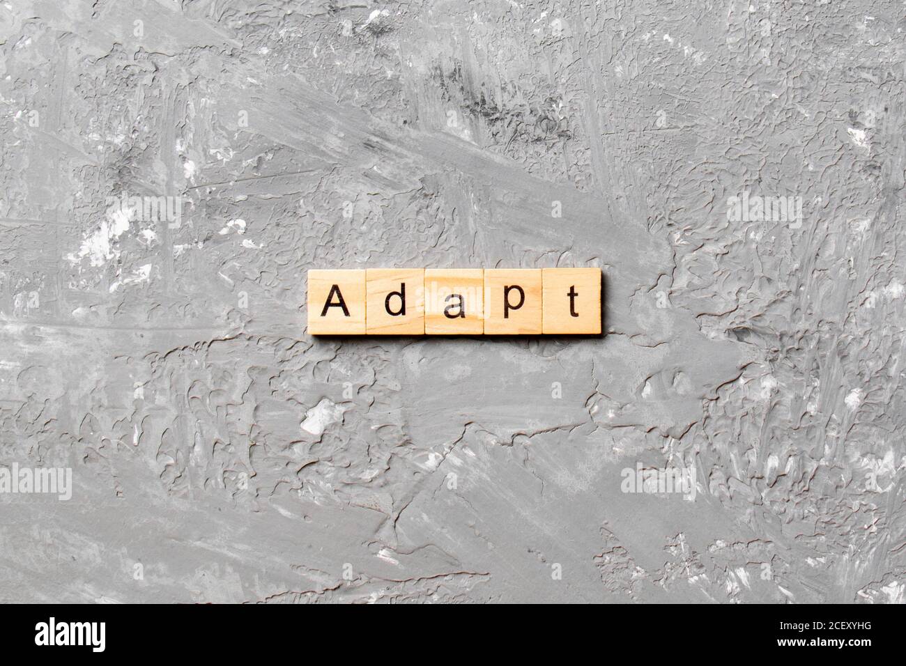 ADAPT word written on wood block. ADAPT text on cement table for your ...