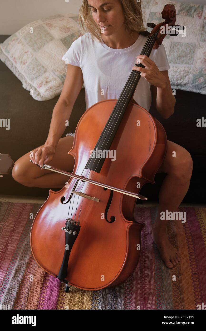Cello Silhouette High Resolution Stock Photography and Images - Alamy