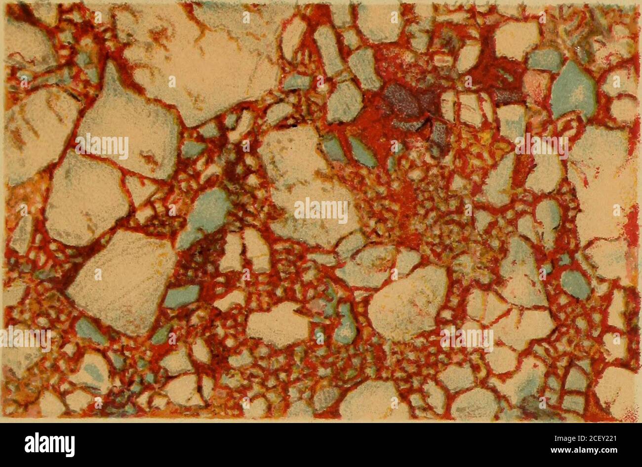 Locally fossiliferous hi-res stock photography and images - Alamy