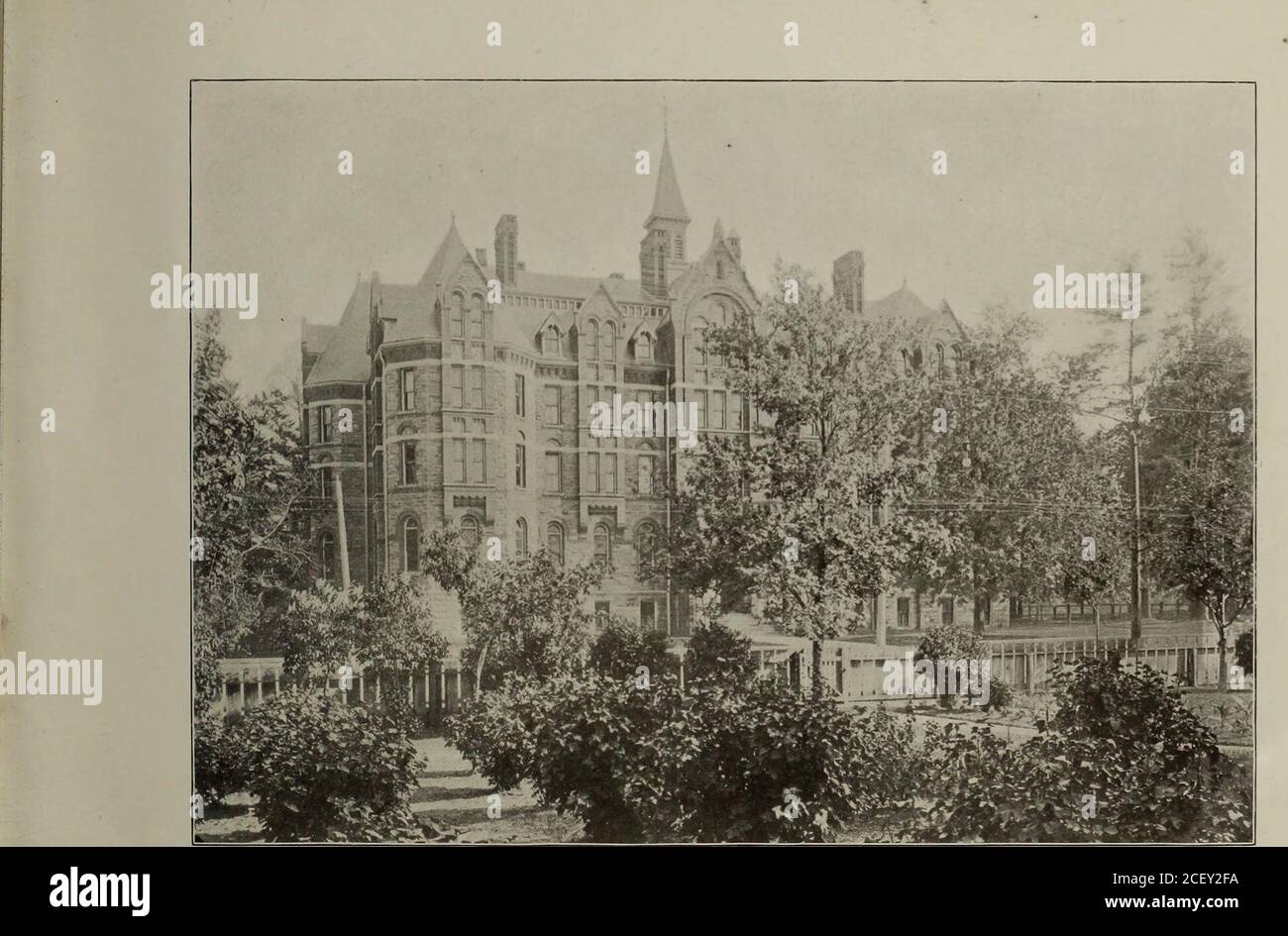 . Toronto the ideal summer city : pictured and described.. McMASTER ...