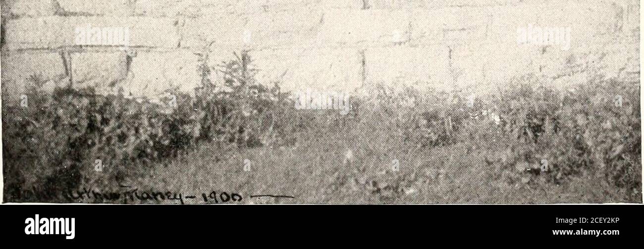 Molly brant hi-res stock photography and images - Alamy